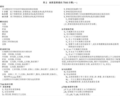 结直肠肿瘤新分类（第五版）及tnm分期 知乎