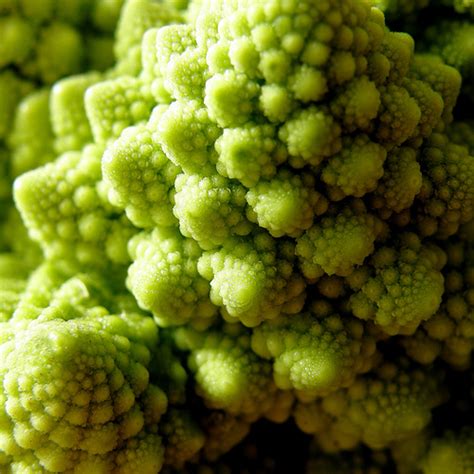 ロマネスコという不思議な野菜の食べ方や栄養。その味は栽培できる？ イケてる男子のブレインミルク