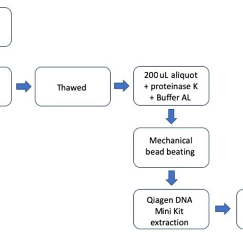 Flow Chart For Sputum Processing Used In Burgener Et Al Starting With Download Scientific