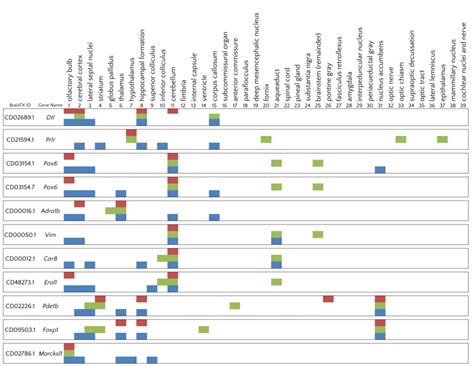 Comparison Of Estimated Spatial Gene Expression Areas Shown Are Download Scientific Diagram