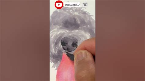 Sheepadoodle Dog Drawing With Markers Youtube