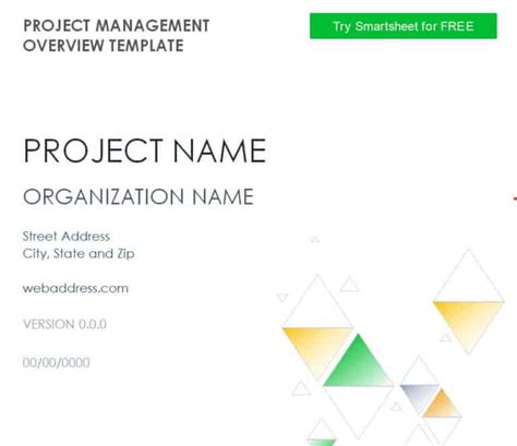12 Sample Project Overview Templates WORD Word Excel Fomats