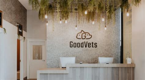 Construction Begins On New Veterinary Hospital In Chicago Optima