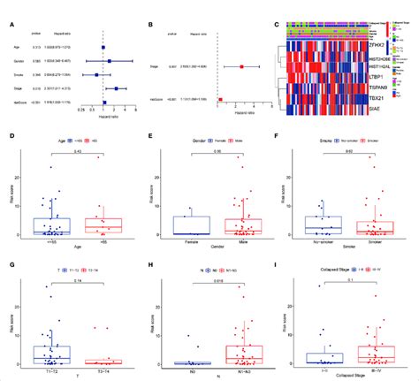 Clinical Prognostic Analysis A Univariate Cox Regression Analysis