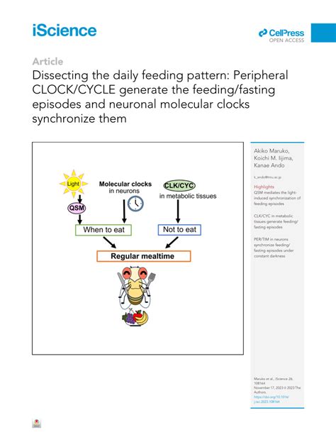 Pdf Dissecting The Daily Feeding Pattern Peripheral Clockcycle