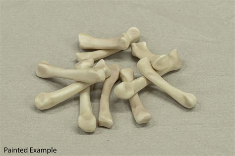 Cosplay Bones Resin Cast Metacarpal Bone Etsy