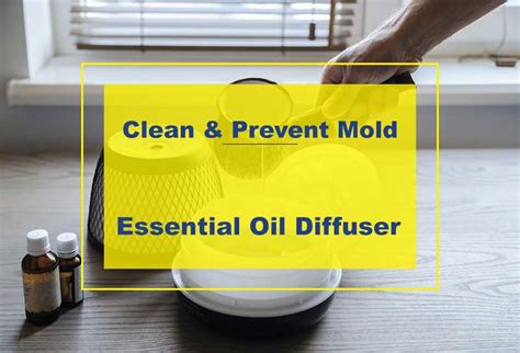 Does Diffuser Cause Mold At Christian Liao Blog