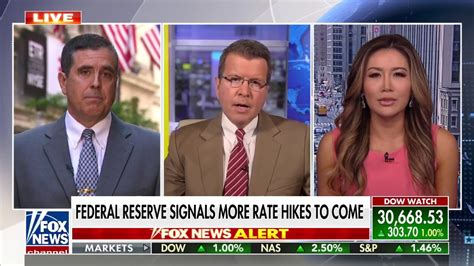 The Fed Is Certainly Not Dove Ish Right Now Stephen Guilfoyle Fox News Video