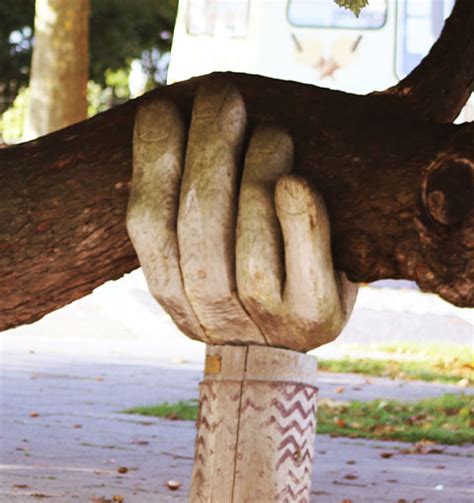 Reliable Tree Bracing Services Hubbard Tree Care