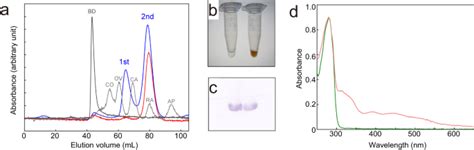 与氯化锌复合的 Rieske 型铁硫蛋白的推定未成熟形式的结构 Communications Chemistry X Mol