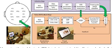 Figure 1 From Covariate Shift Detection Based Adaptive Brain Computer Interface To Trigger Hand