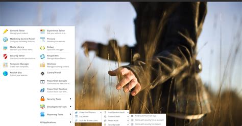 How To Provide Sitecore Non Administrator User The Capability To Unlock Items Locked By Idle Users