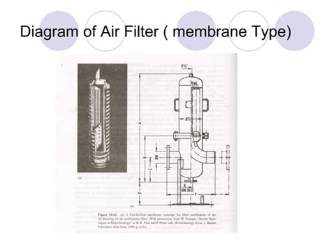 Filter Sterilization Ppt