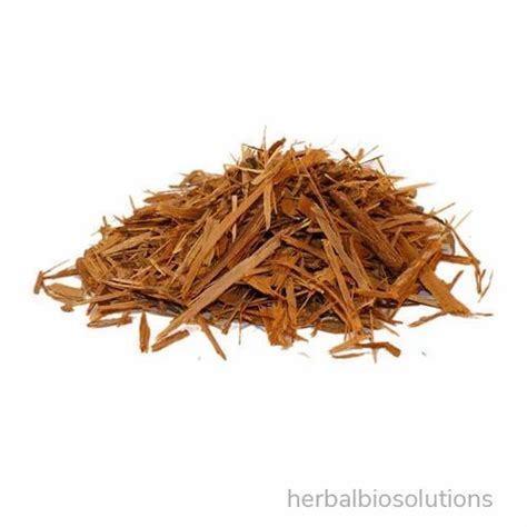 Catuaba Extract Pack Size 200 Gram At Best Price In New Delhi Id