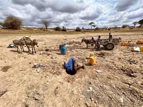 OMS indica que Corno de África é a região mais vulnerável às alterações climáticas e Global