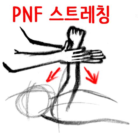 근육스트레칭 Pnf 스트레칭 방법 네이버 블로그