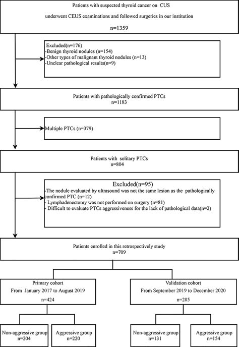 Flow Chart Showing Patient Selection Process Ptc Papillary Thyroid