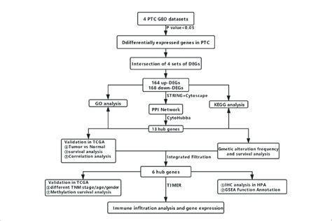 Flowchart Showing The Workflow For The Identification Functional
