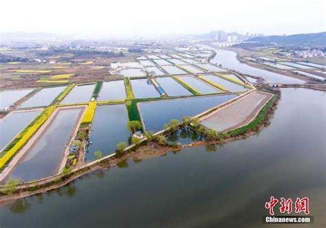 烟波浩渺、候鸟天堂 人这一辈子一定要去一趟鄱阳湖 知乎