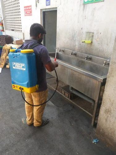 Bed Bugs Pest Control Services At Rs 50 In Chennai Id 2853111428912