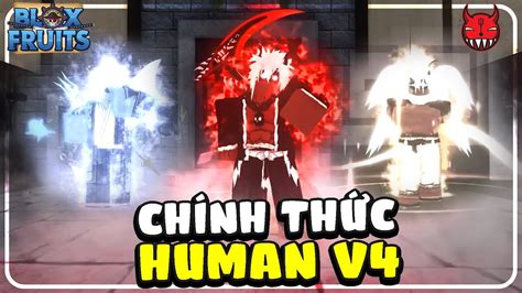 Roblox Blox Fruit Chính Thức Tộc Human V4 Sức Mạnh Siêu Ảo Youtube
