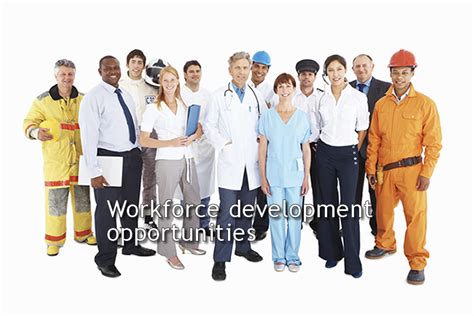 Department Of Labor
