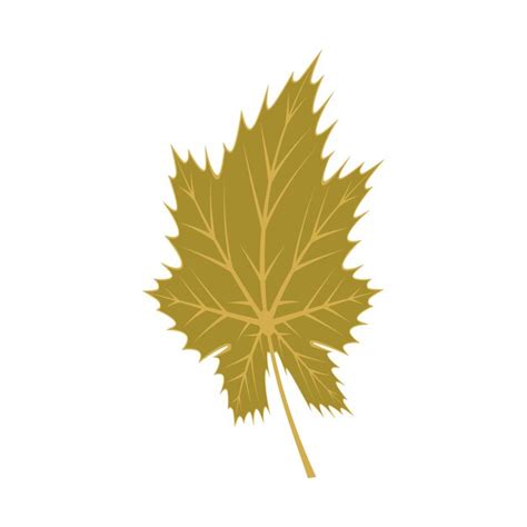Diseño de ilustración de icono de vector de plantilla de logotipo de