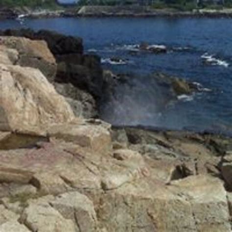 Amy Aviles University Of Massachusetts Lowell Ma Uml Department