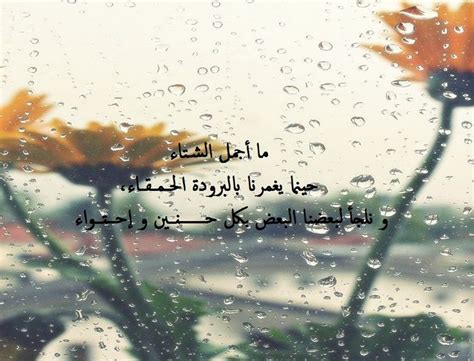 كلمات للشتاء خواطر وإقتباسات قصيرة رائعة