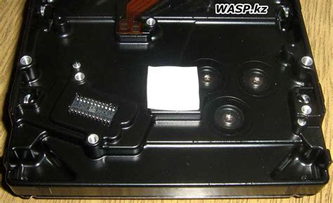 WASP.kz - Статьи: Toshiba DT01ACA050 обзор жесткого диска на 500 Гб