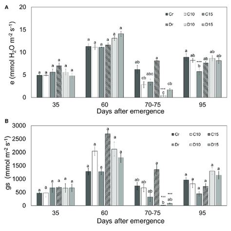 Chlorophyll Concentration A Leaf Area Index B And Total Water Download Scientific