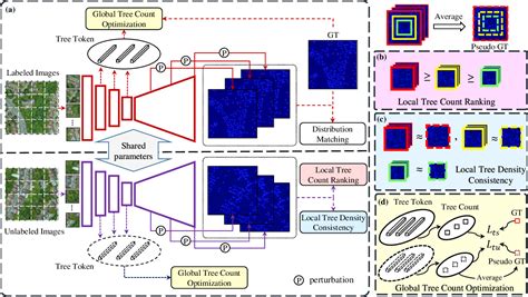 Treeformer A Semi Supervised Transformer Based Framework For Tree Counting From A Single High