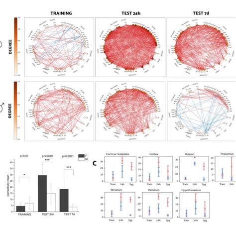 Fear Memory Networks In Male And Female Mice A Network Graphs Were