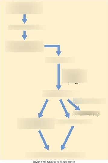 Week 4 3 Diagram Quizlet
