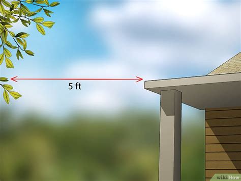 How To Get Rid Of Possums 15 Humane Pest Control Methods
