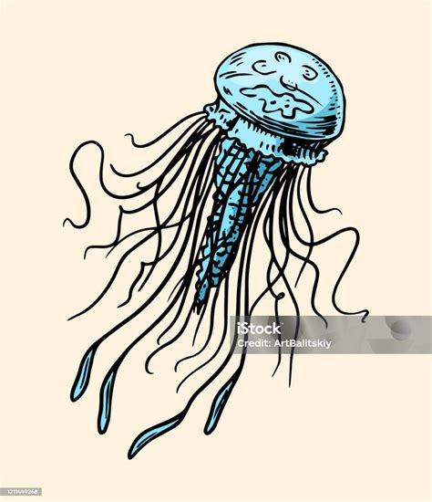 바다 해파리 해상 또는 해양 메두사 촉수와 바다 젤리 손으로 그린 흑백 복고풍 새겨진 오래 된 스케치 문신 또는 엠블럼에 대한
