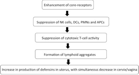 Frontiers Localized And Systemic Immune Response In Human Free Download Nude Photo Gallery