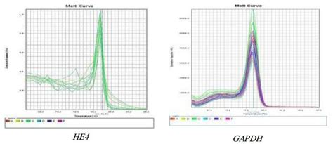 Melting Curve Analysis Of He4 And Gapdh Genes Download Scientific Diagram