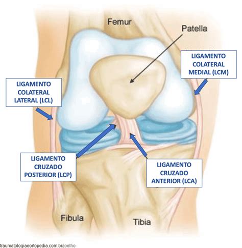 Lesão Do Ligamento Colateral Medial No Joelho E Tratamentos Dr
