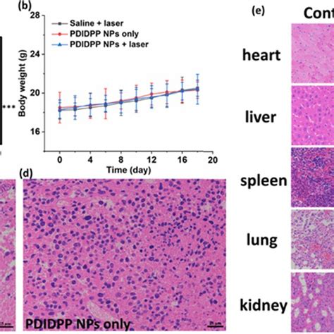 A Relative Tumor Volume B Body Weight Of Nude Mice Treated With