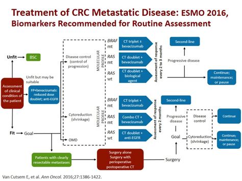 The Continuum Of Care In Mcrc Optimizing Use Of Egfr Antibodies Ppt Download