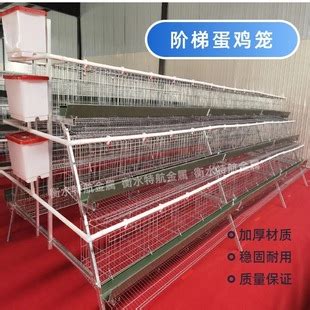 多层阶梯式蛋鸡笼鸡笼子养殖家用A字形层叠鸡笼冷热镀锌蛋鸡笼 阿里巴巴