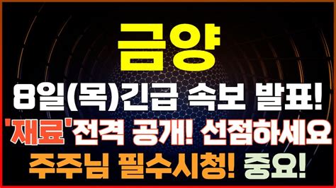 금양 주가전망 단독긴급속보이슈 8목중요한 이슈 발생 급등급등주단타매매기법분기점단타급등급등주금양대응