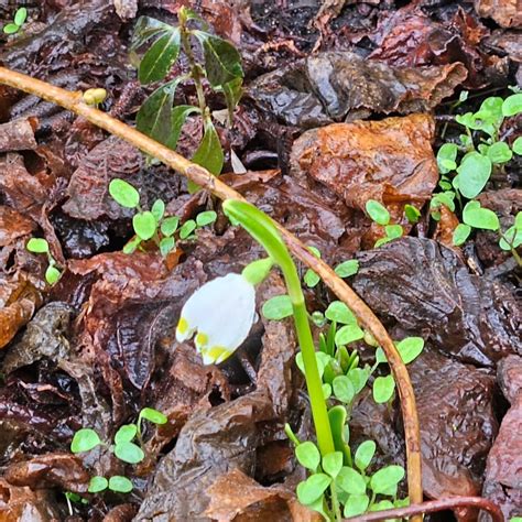 Michael Zeiser Michaelzeiser • Instagram Photos And Videos