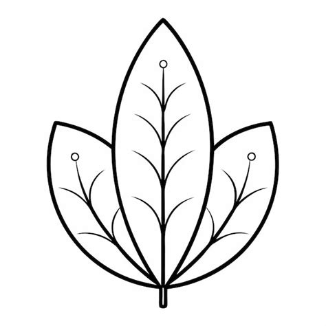 Cactus Leaf Icon Vector Illustration On White Background Premium Ai