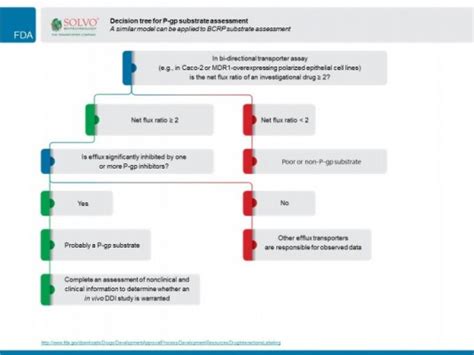 Downloadable Slides With Fda And Ema Transporter Decision Trees News Solvo Biotechnology