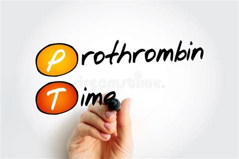 PT Prothrombin Time Measures How Long It Takes For A Clot To Form In