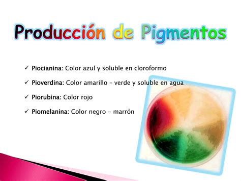Pseudomonas Ppt
