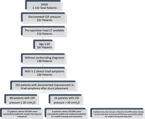 flow diagram indicating stepwise inclusion and exclusion of cases from