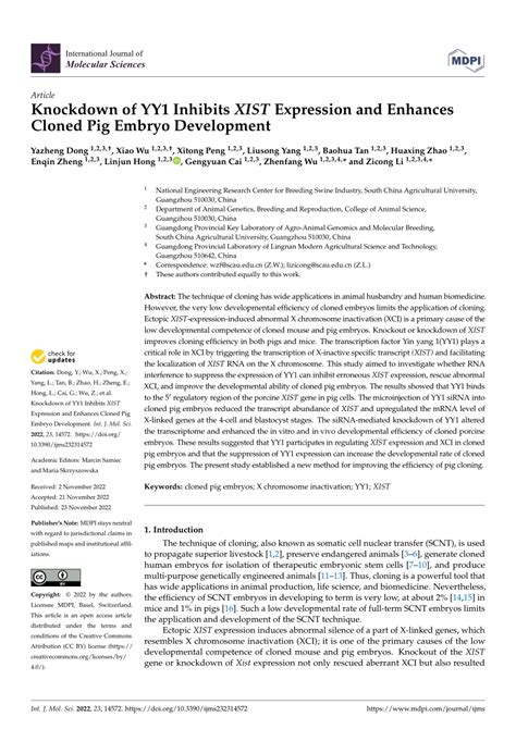 Pdf Knockdown Of Yy1 Inhibits Xist Expression And Enhances Cloned Pig